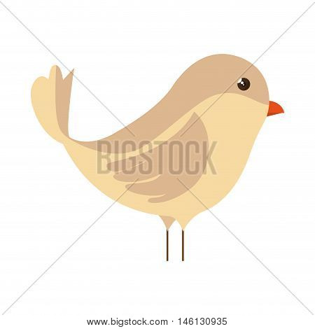 Bird Cartoon Colorful Vector & Photo (Free Trial) | Bigstock
