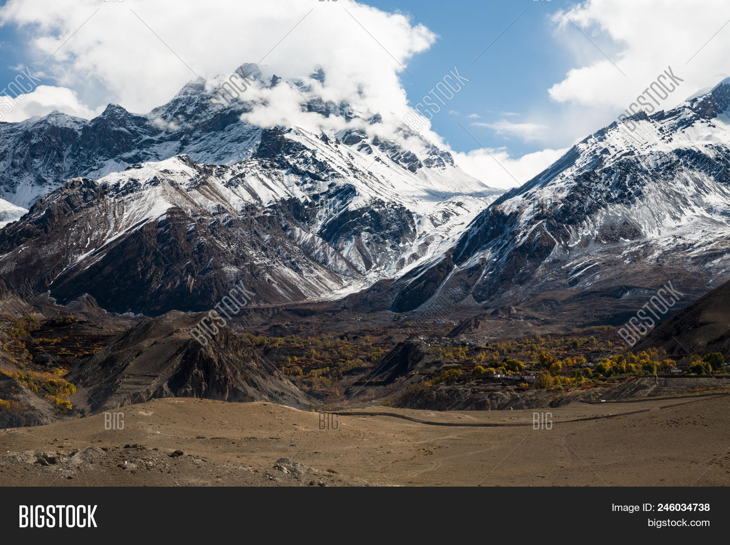 Landscape Mustang Image & Photo (Free Trial) | Bigstock