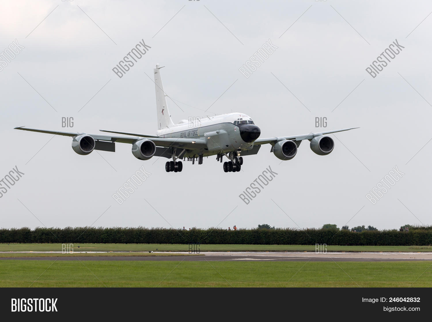 Raf Waddington, Image & Photo (Free Trial) | Bigstock