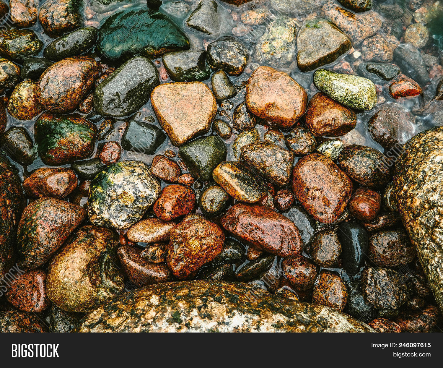 Wet Sea Stones Water. Image & Photo (Free Trial) | Bigstock