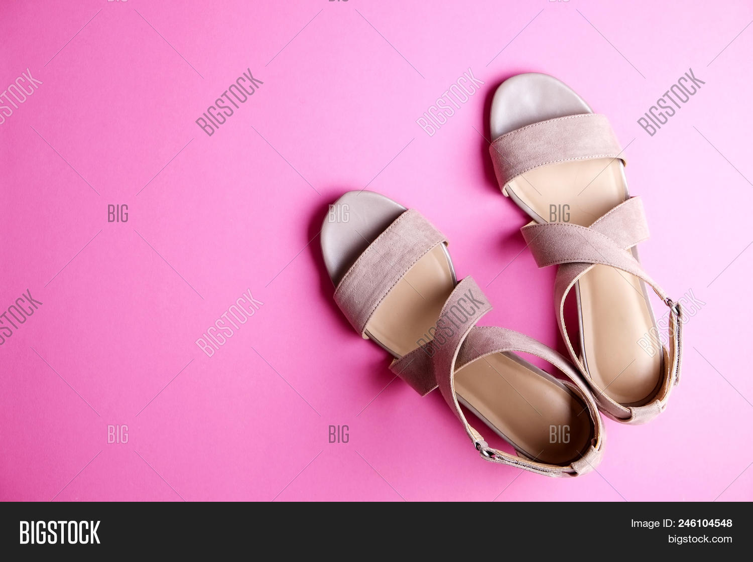 Top View Fashionable Image & Photo (Free Trial) | Bigstock