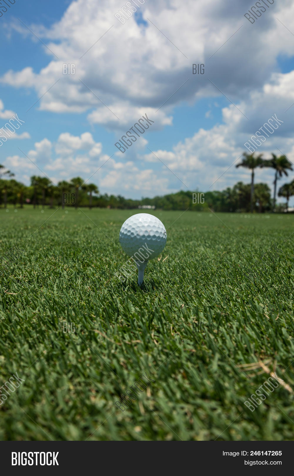 Golf Ball Teed On Tee Image & Photo (Free Trial) | Bigstock