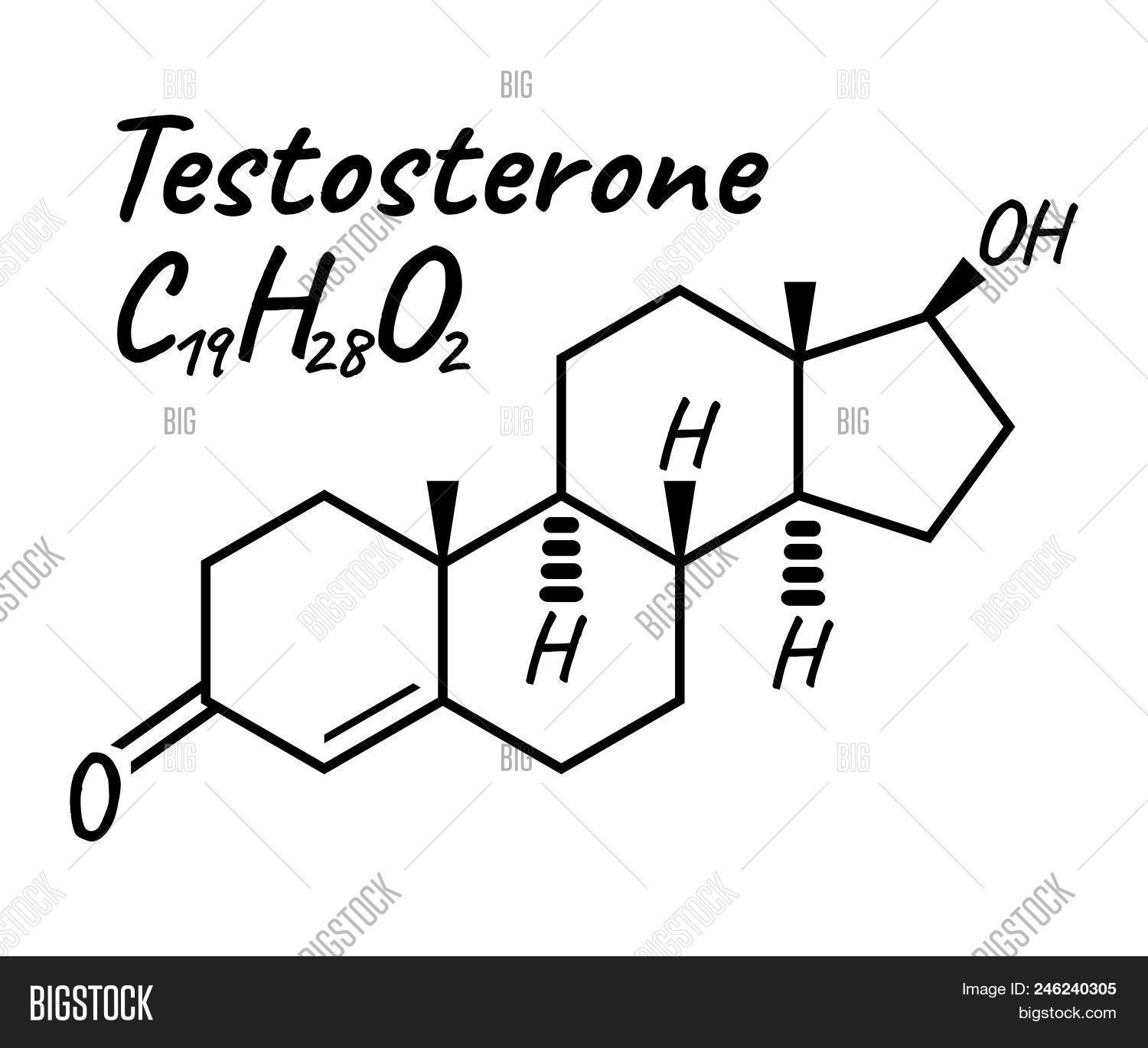 Testosterone Label Vector & Photo (Free Trial) | Bigstock