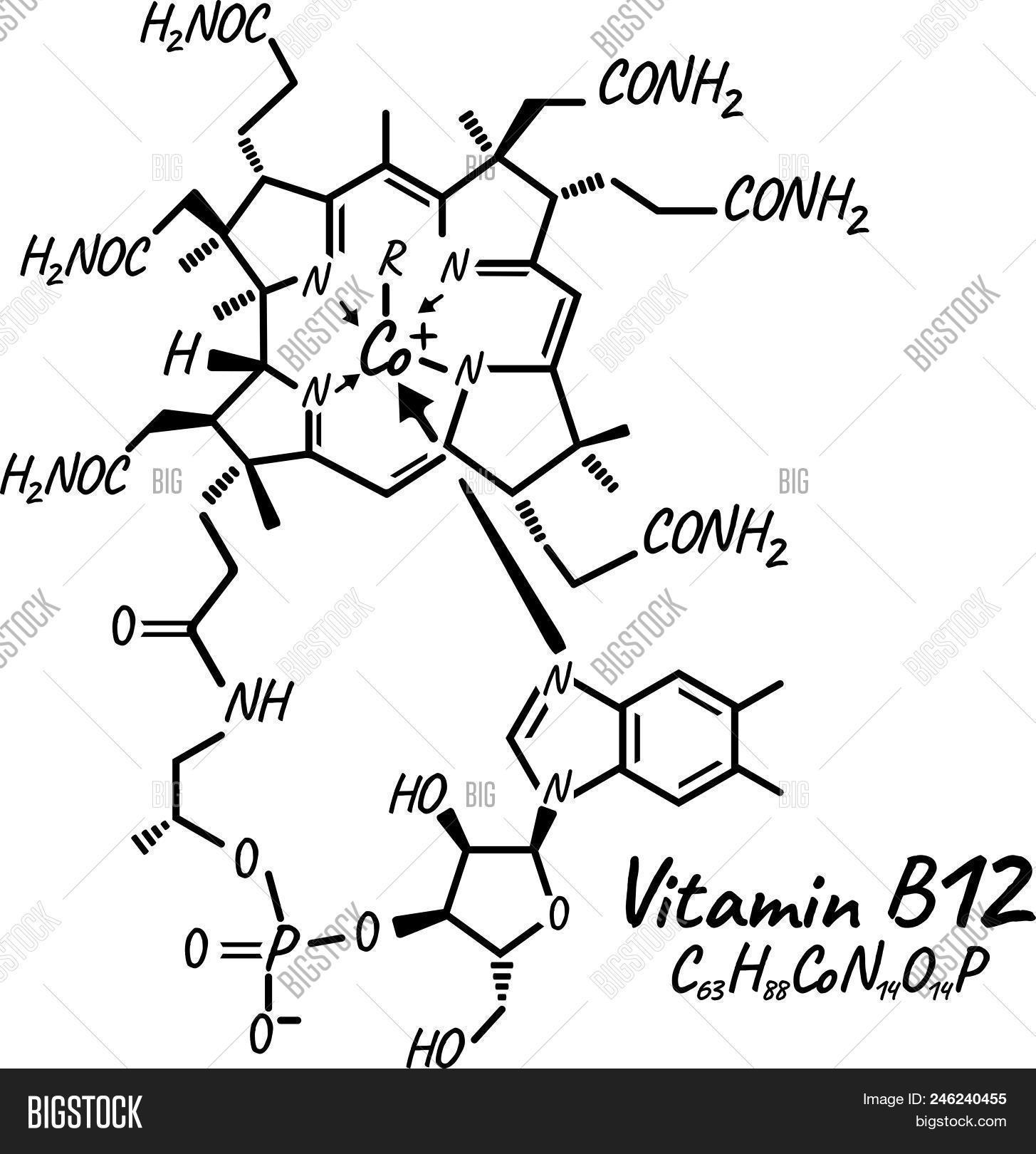 Vitamin B12 Label Vector & Photo (Free Trial) | Bigstock