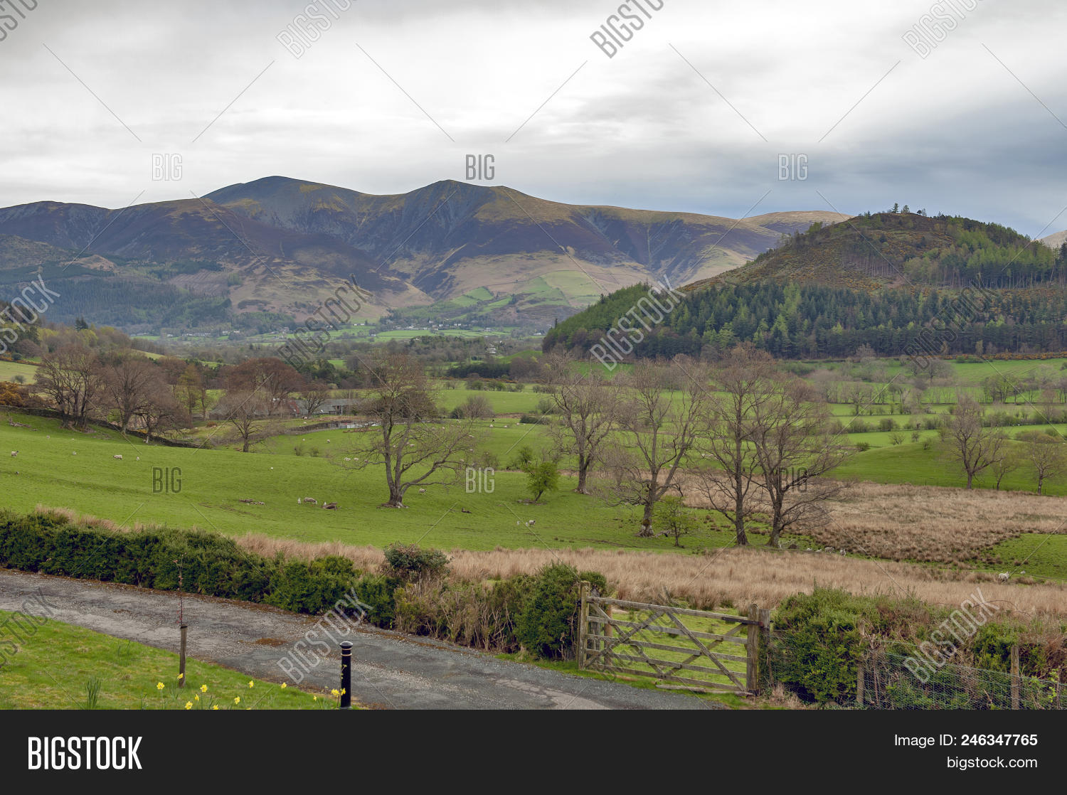 Scenic Countryside Image & Photo (Free Trial) | Bigstock