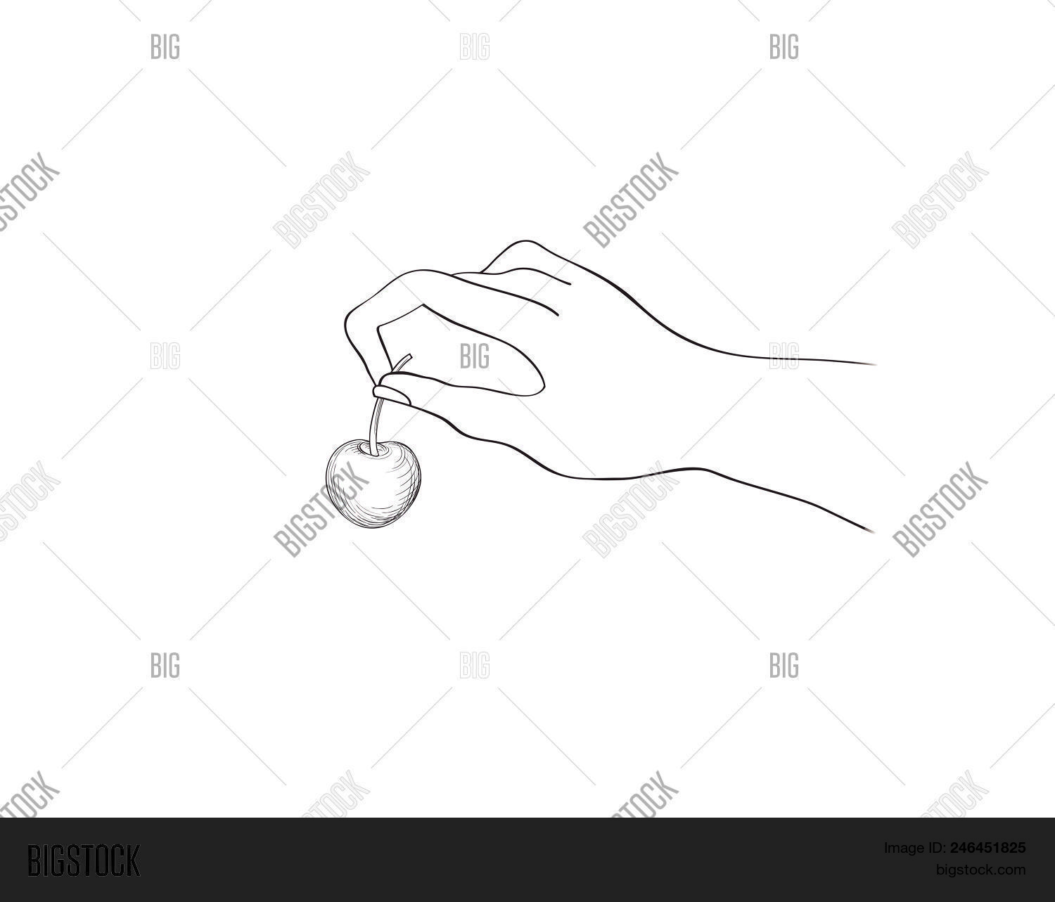 Cherry On Top. Hand Vector & Photo (Free Trial) | Bigstock