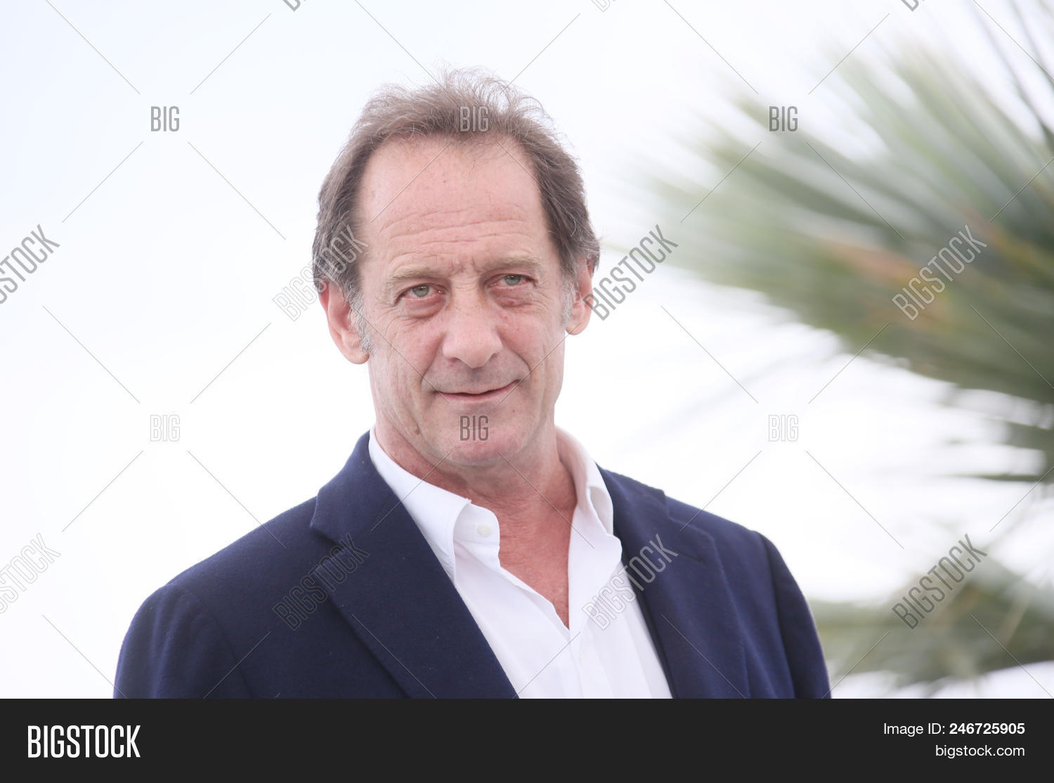 Actor Vincent Lindon Image & Photo (Free Trial) | Bigstock