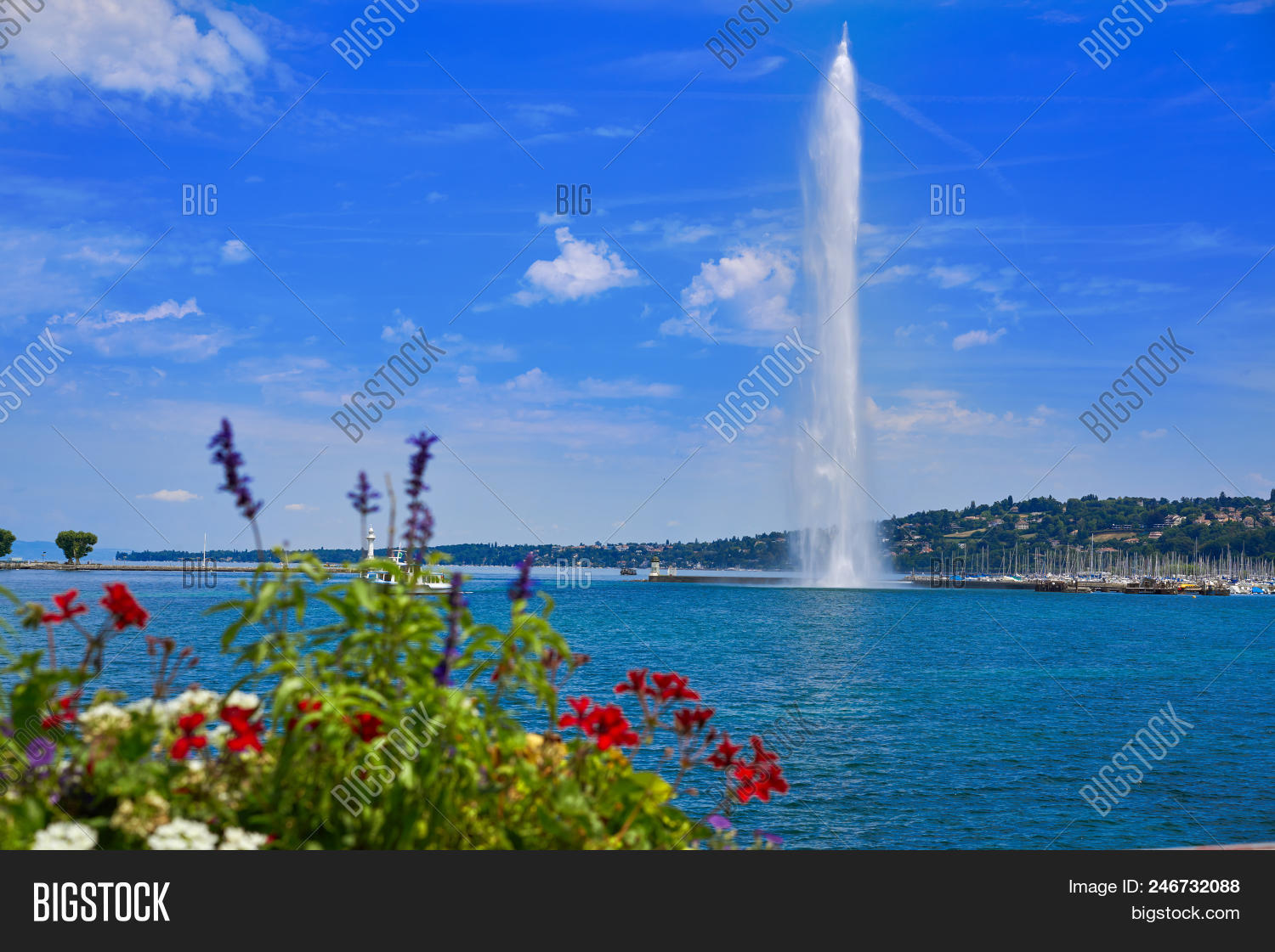 Geneva Geneve Lake Image & Photo (Free Trial) | Bigstock