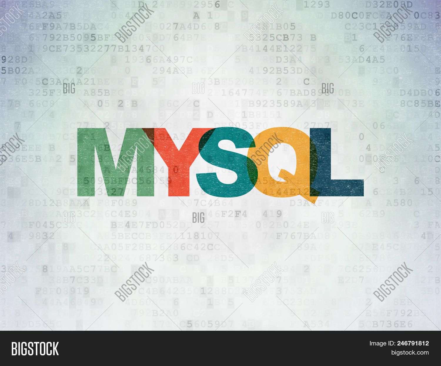 Software Concept: Image & Photo (Free Trial) | Bigstock