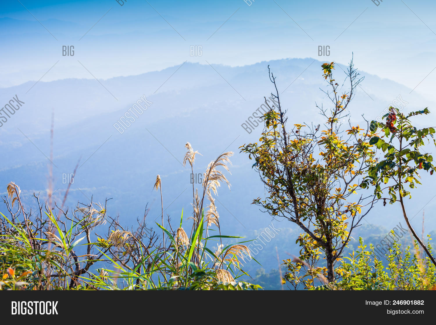 Doi Pha Mee View Point Image & Photo (Free Trial) | Bigstock