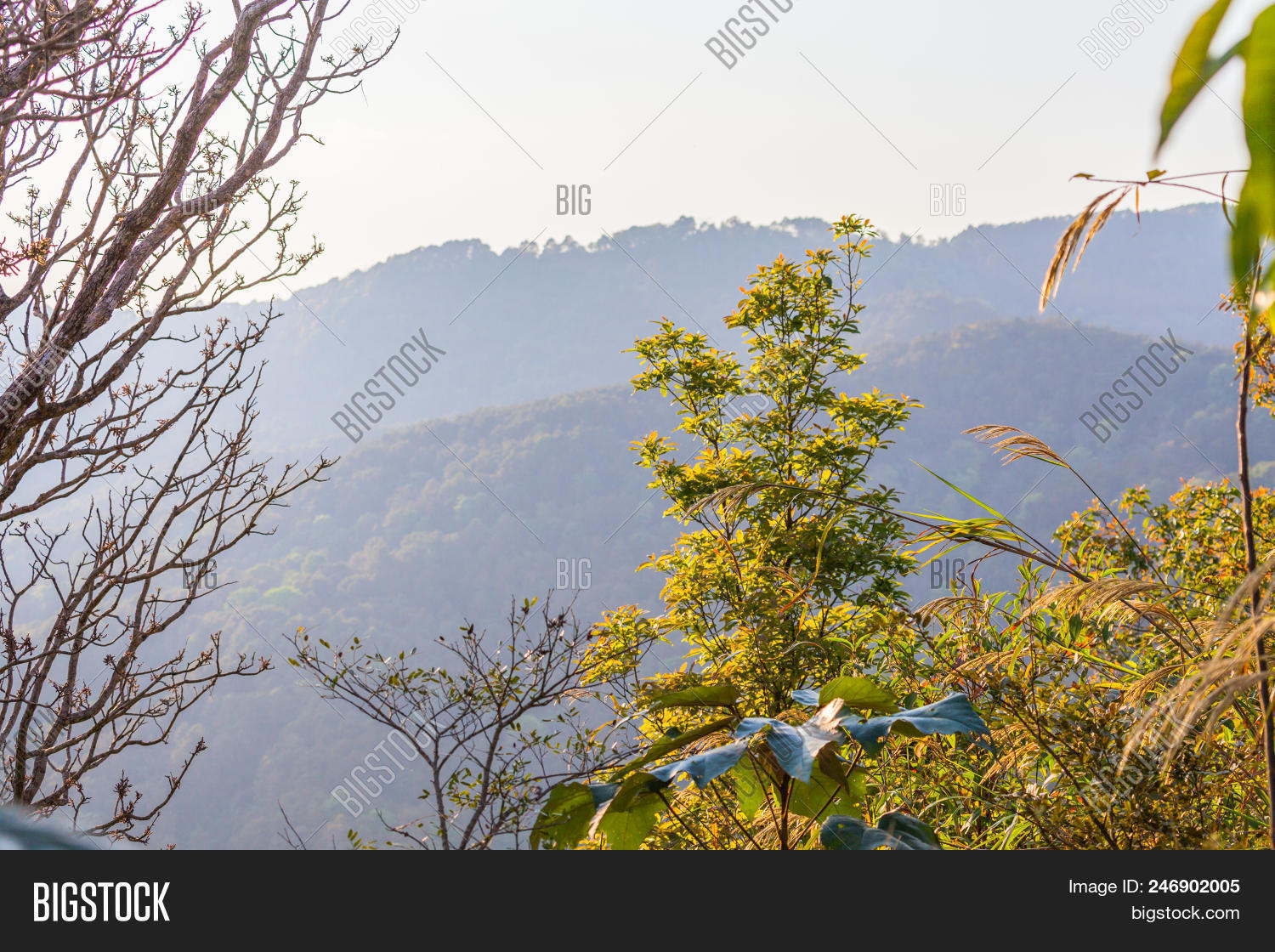 Doi Pha Mee View Point Image & Photo (Free Trial) | Bigstock