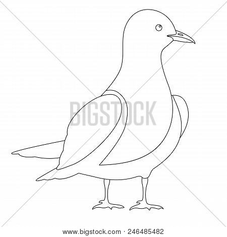 Gull Vector Vector & Photo (Free Trial) | Bigstock