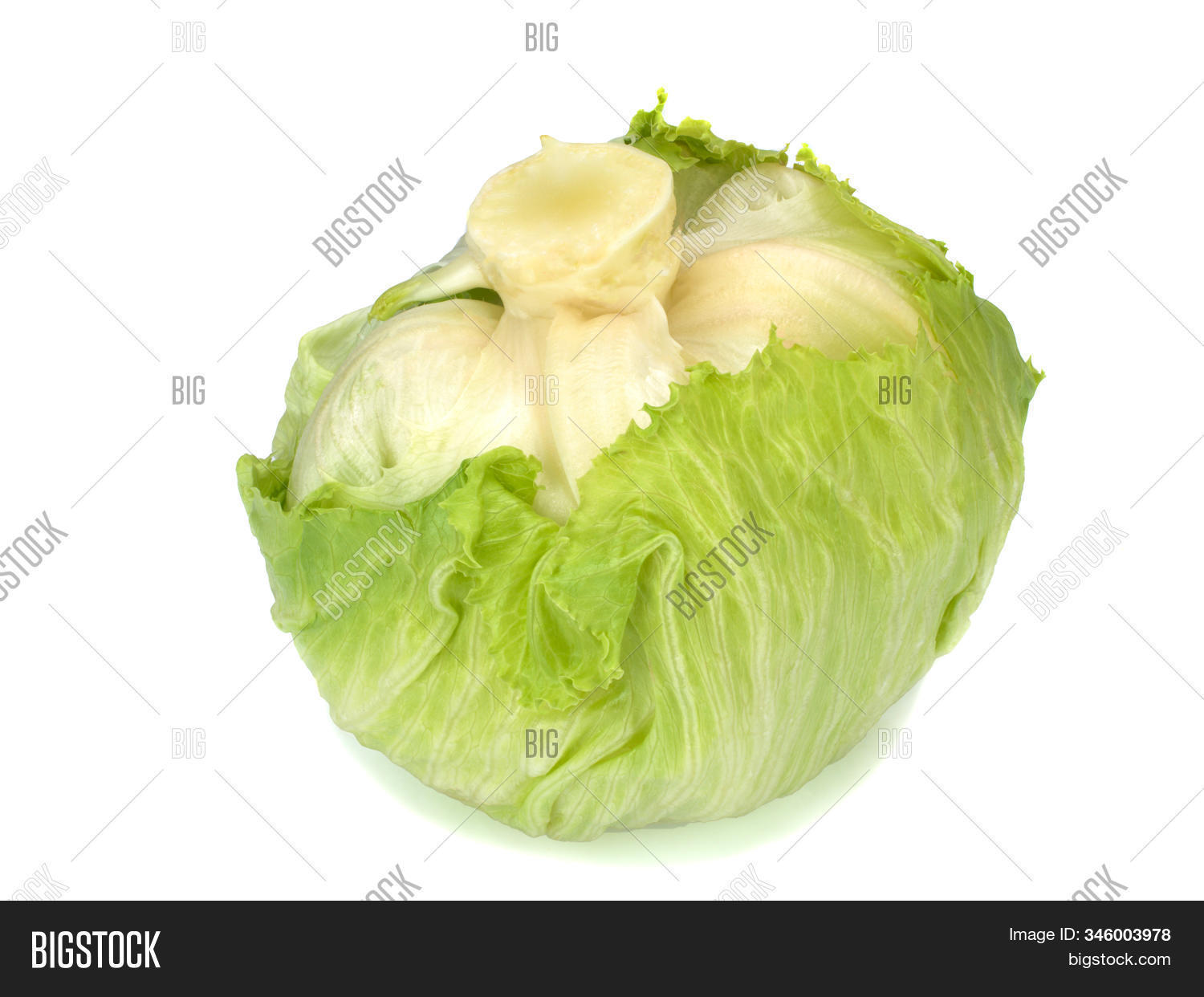 Iceberg Lettuce Image & Photo (Free Trial) | Bigstock
