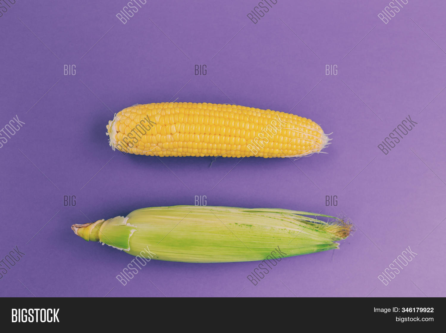 Corn Cob On Purple Image & Photo (Free Trial) | Bigstock