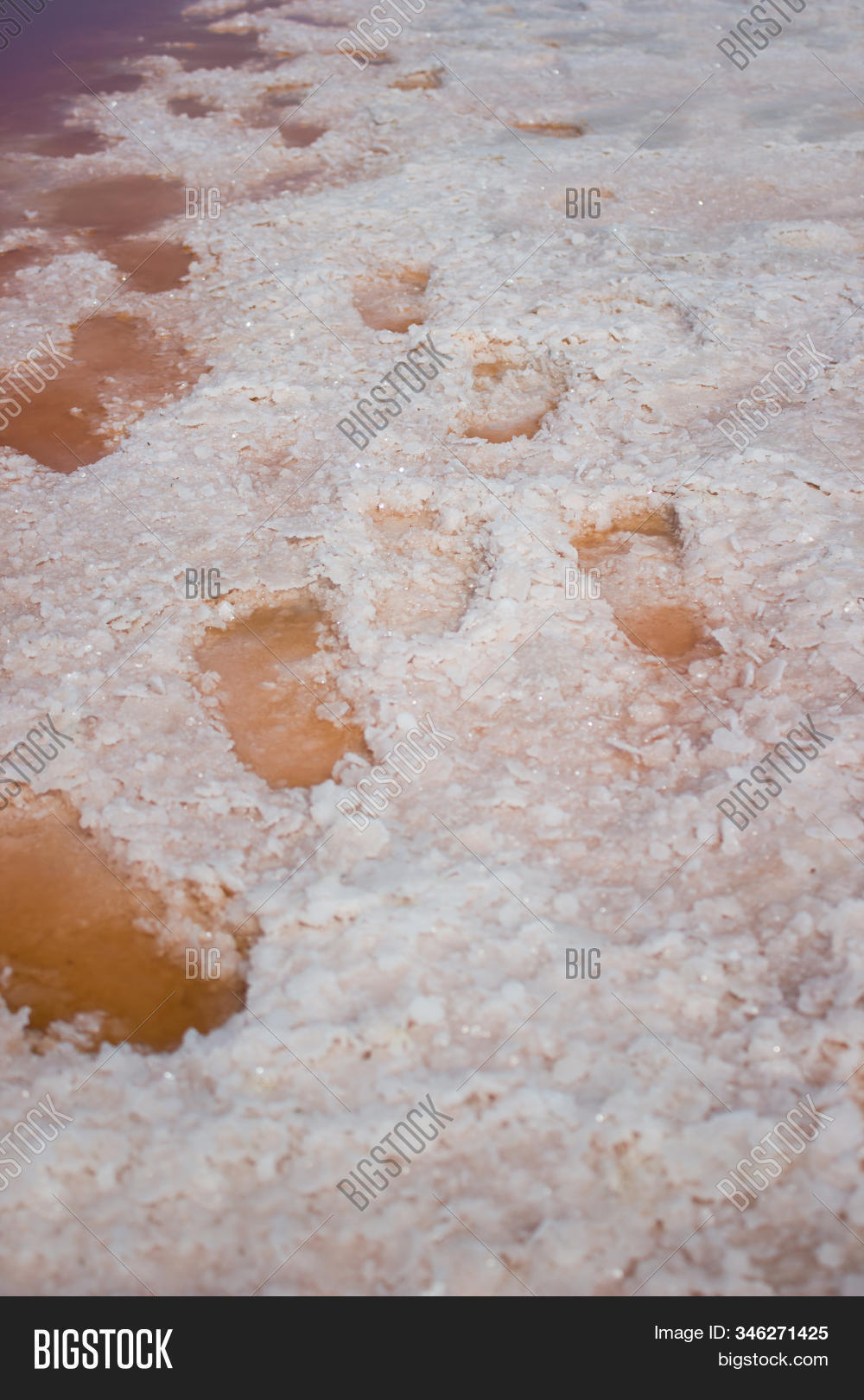 Rose Water Footprints Image & Photo (Free Trial) | Bigstock