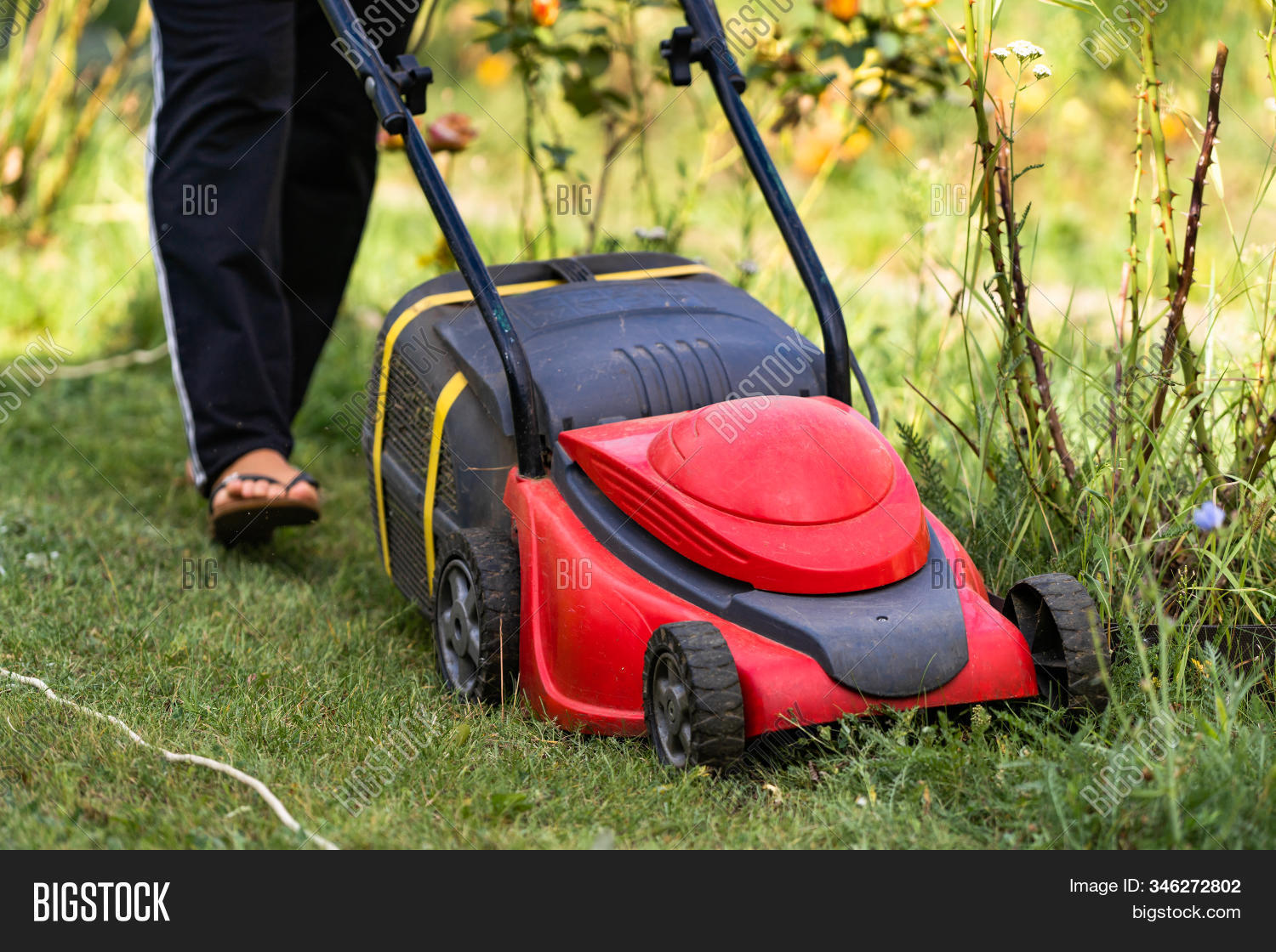 Lawn Mover Action. Image & Photo (Free Trial) | Bigstock