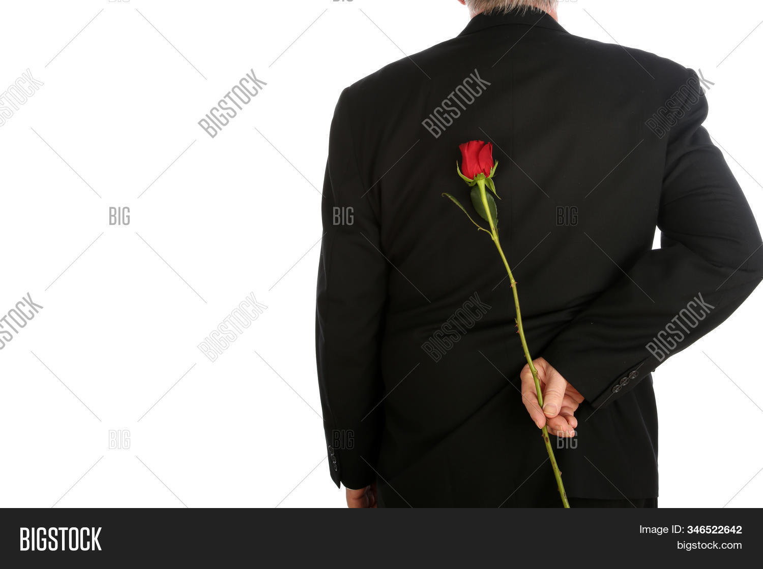 Man Single Red Rose. Image & Photo (Free Trial) | Bigstock