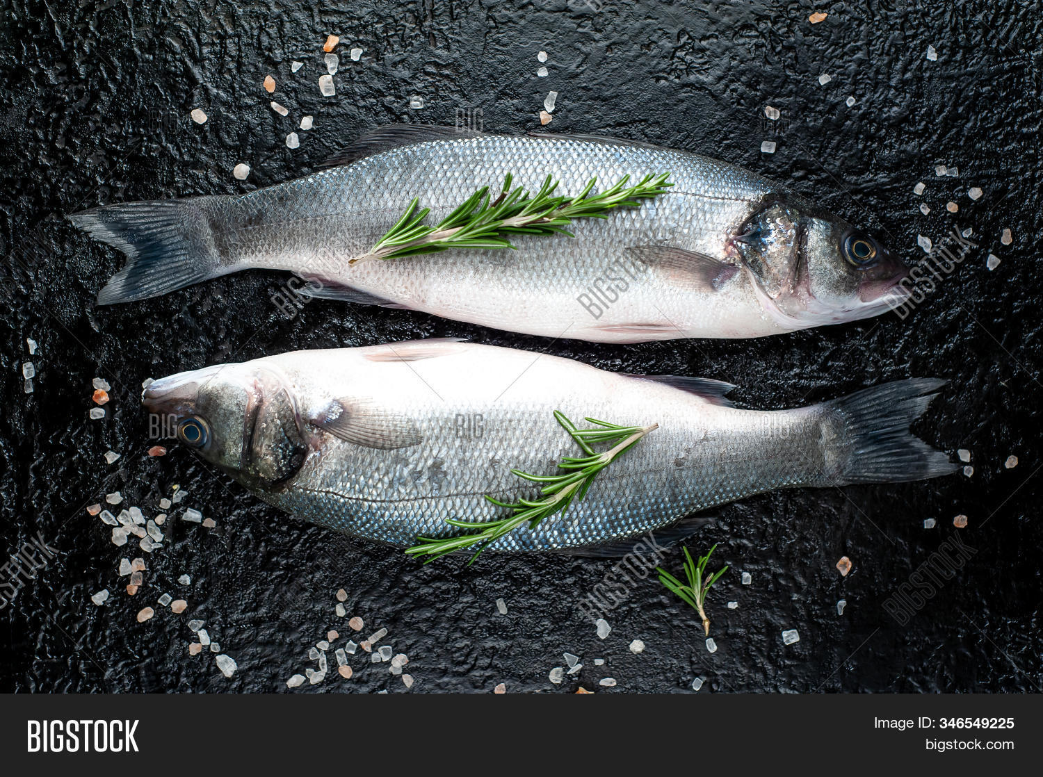 Fresh Fish Sea Bass. Image & Photo (Free Trial) | Bigstock
