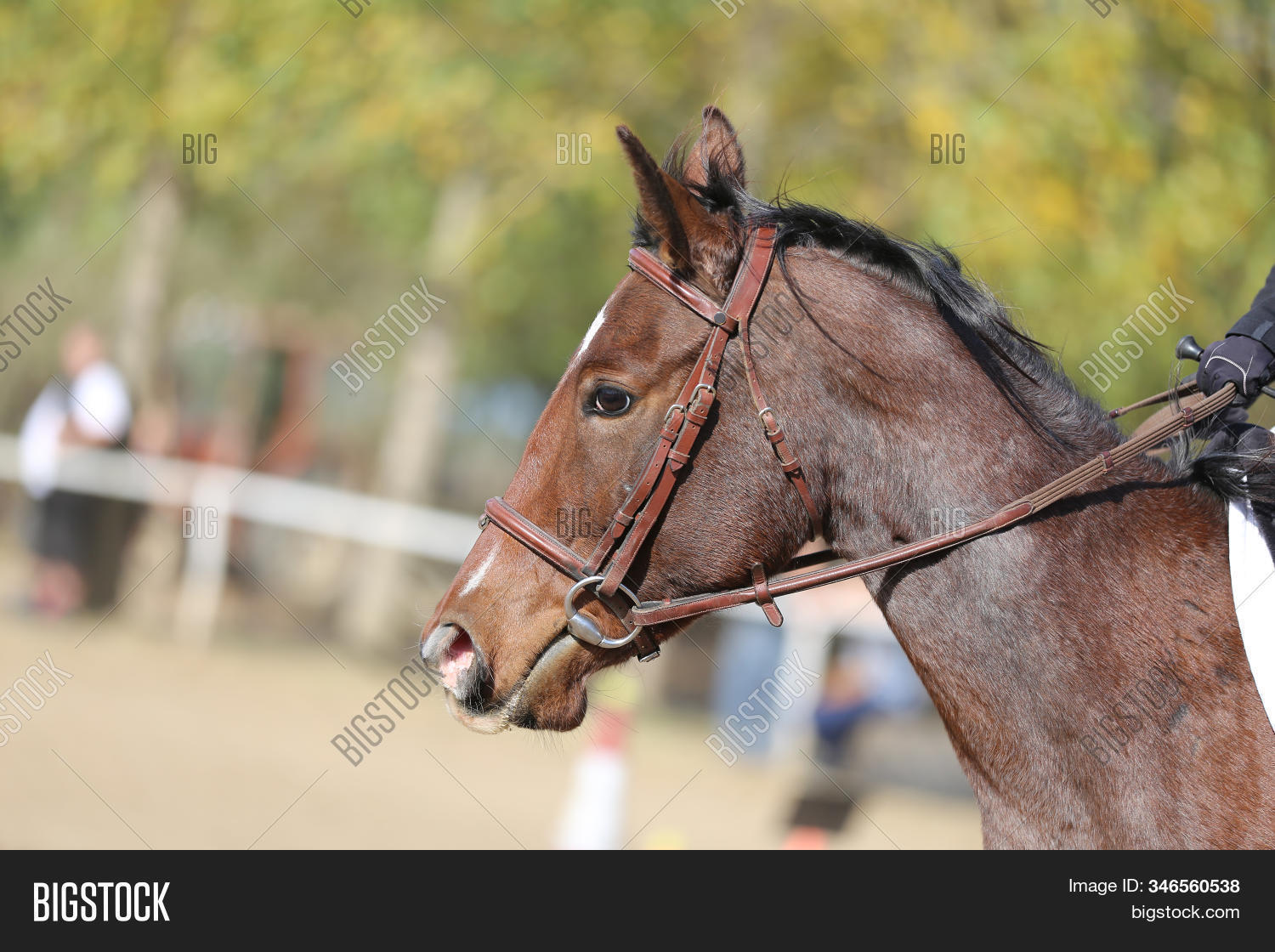 Beautiful Expressive Image & Photo (Free Trial) | Bigstock
