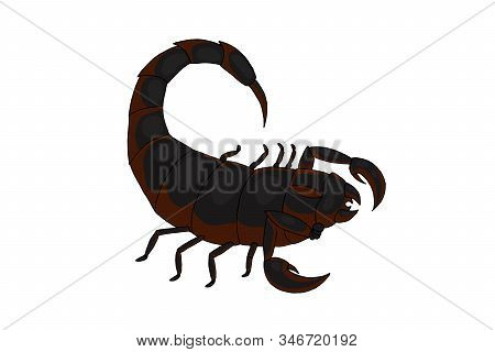 Black Red Scorpion. Vector & Photo (Free Trial) | Bigstock