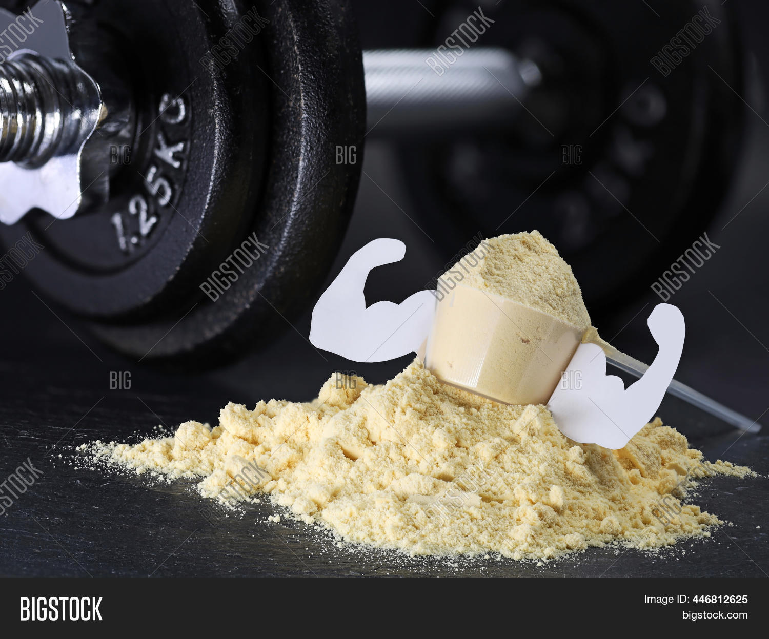 Whey Protein Powder Scoop