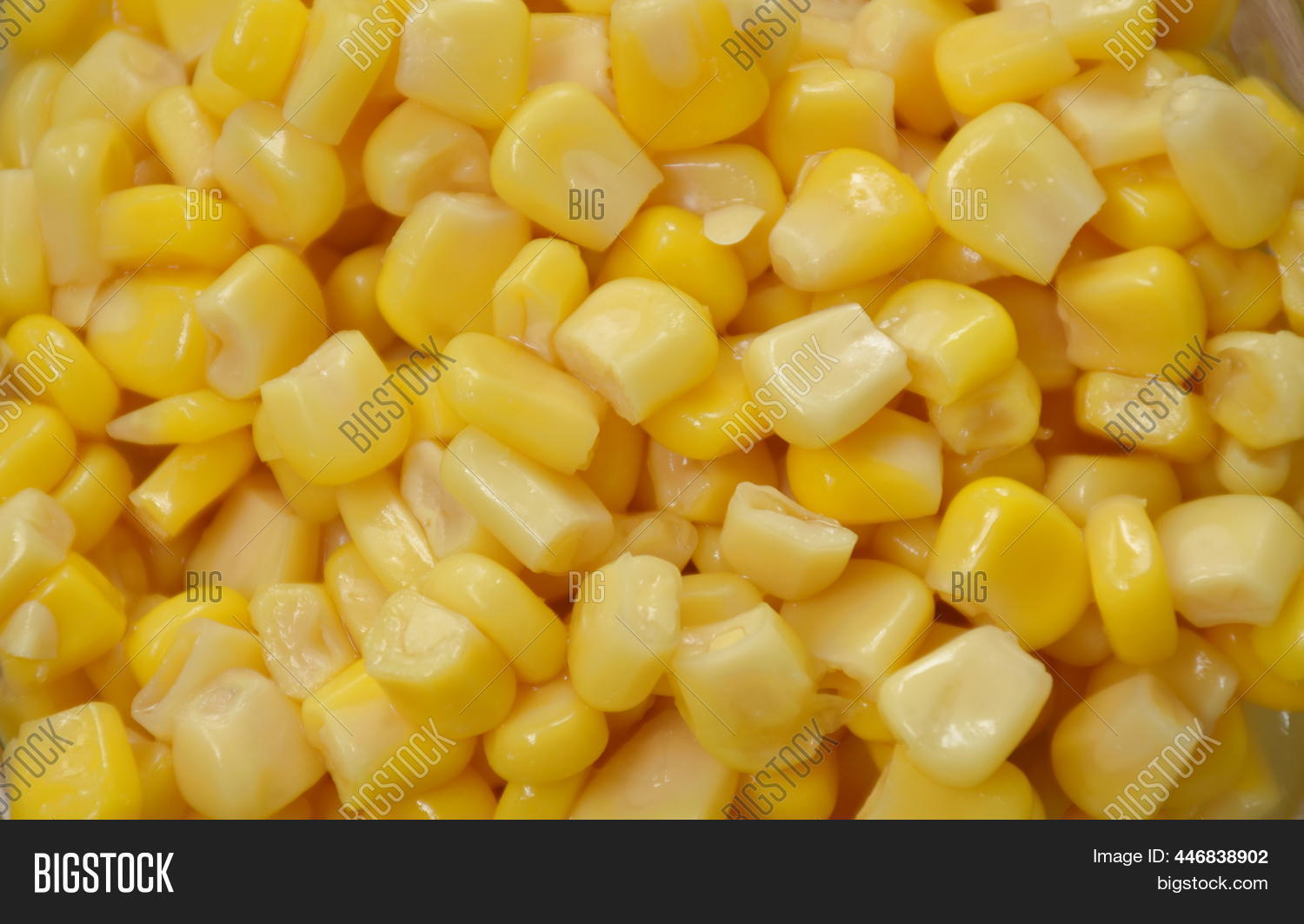 Steamed Sweet Corn Image & Photo (Free Trial) | Bigstock