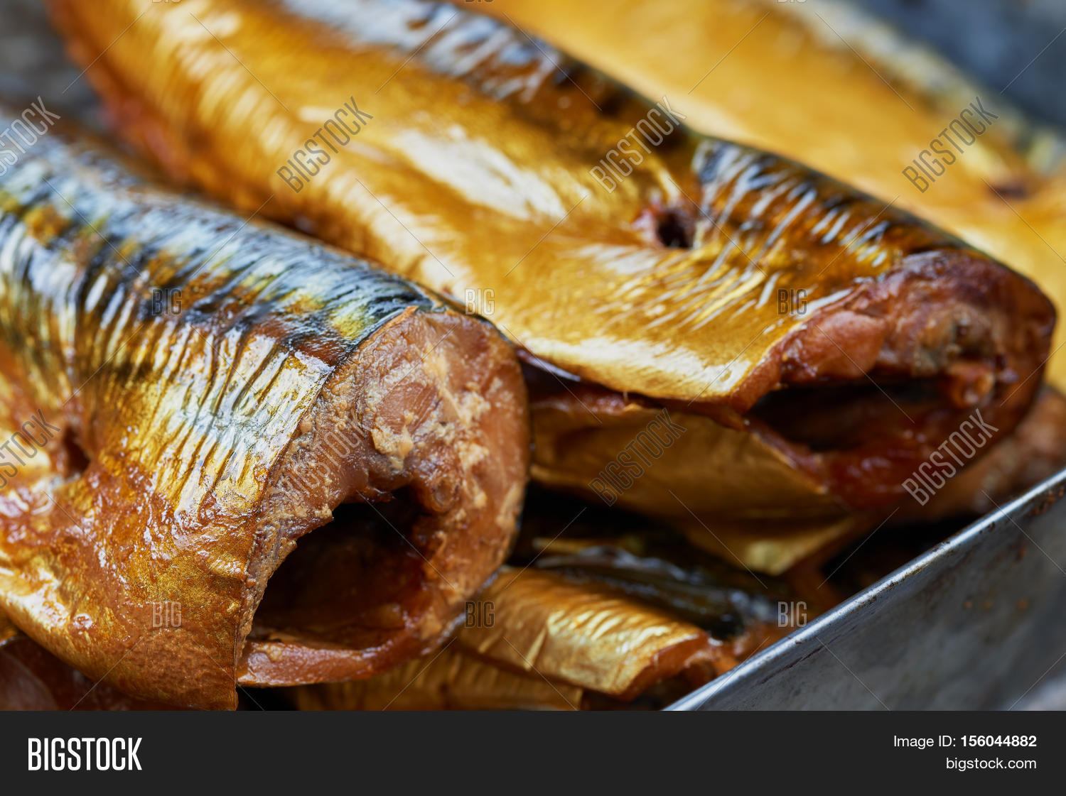 Set Smoked Fish Tin Image & Photo (Free Trial) | Bigstock