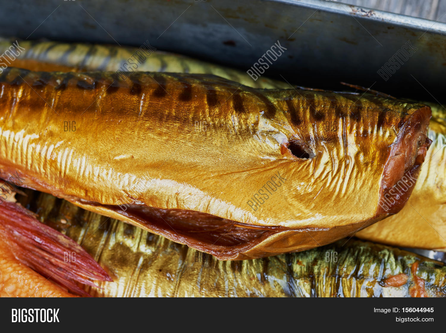 Set Smoked Fish Tin Image & Photo (Free Trial) | Bigstock