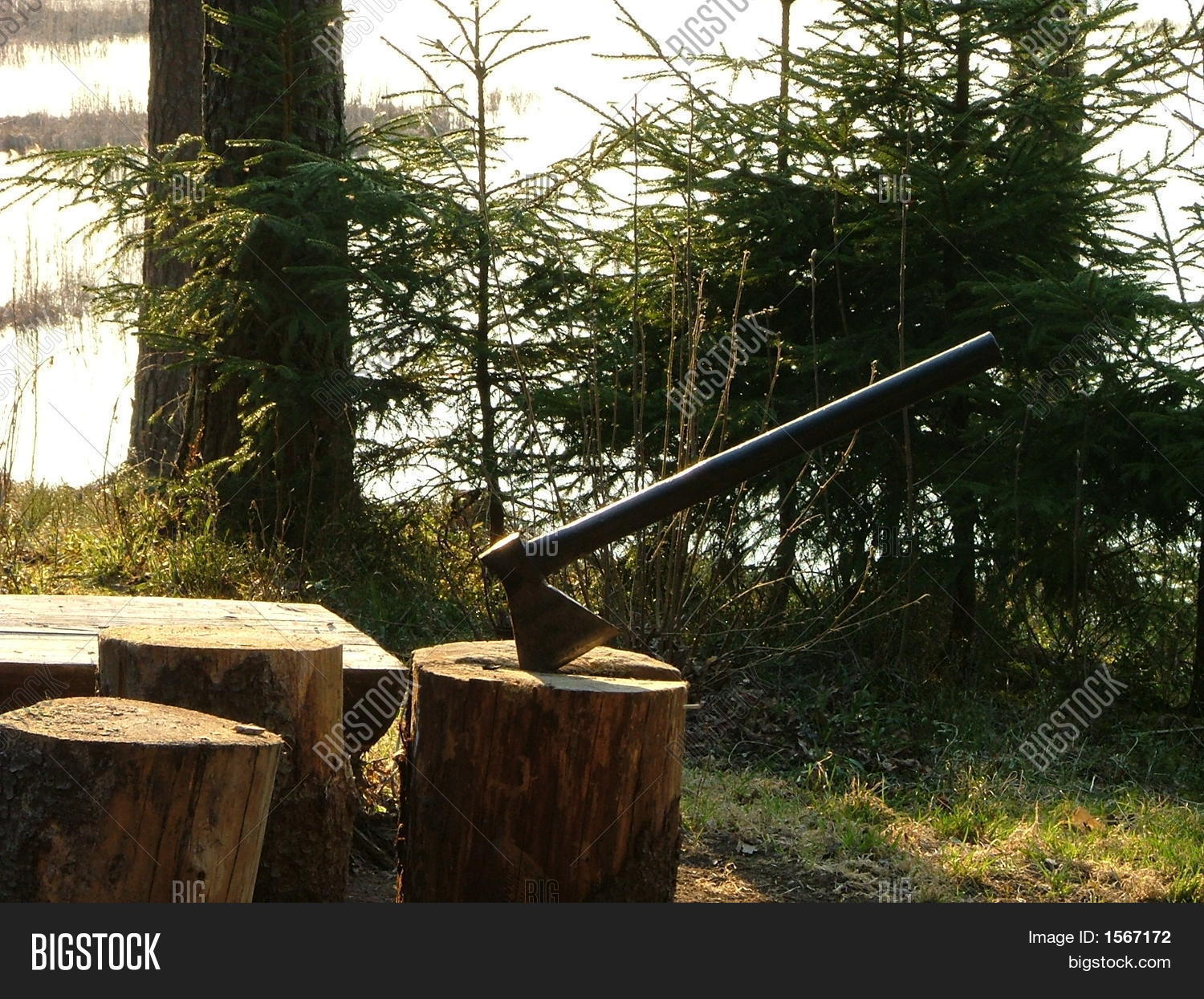 Axe Wedged Into Tree Image & Photo (Free Trial) | Bigstock