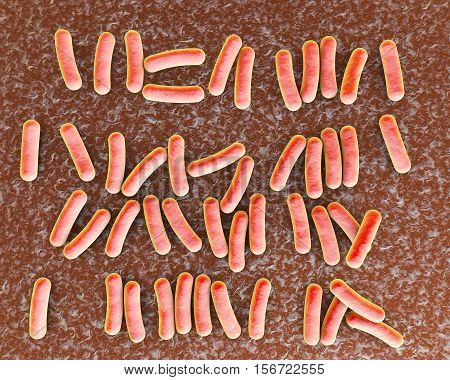 Bacterium Pseudomonas Image & Photo (Free Trial) | Bigstock