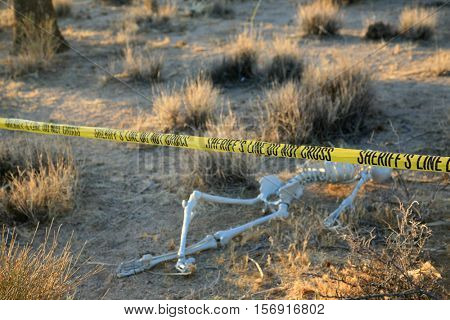 Crime Scene. Skeleton Image & Photo (Free Trial) | Bigstock