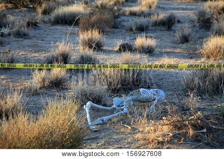 Crime Scene. Skeleton Image & Photo (Free Trial) | Bigstock