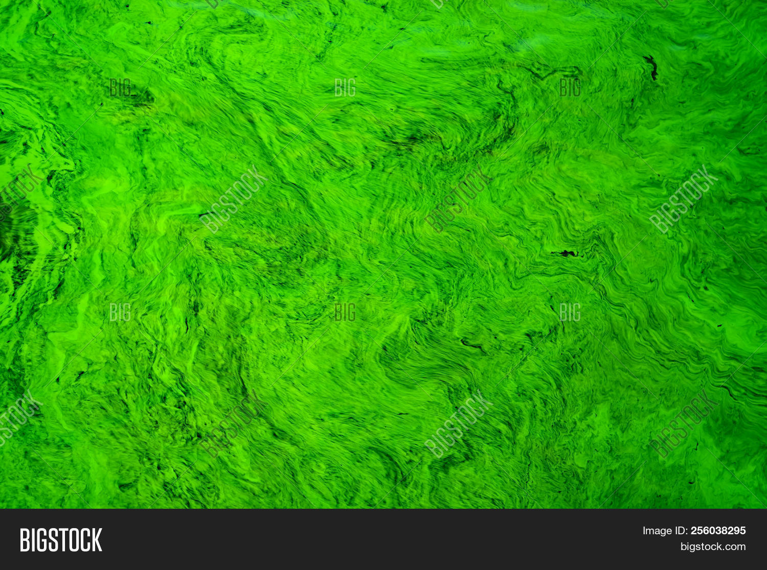 Abstract Natural Image & Photo (Free Trial) | Bigstock