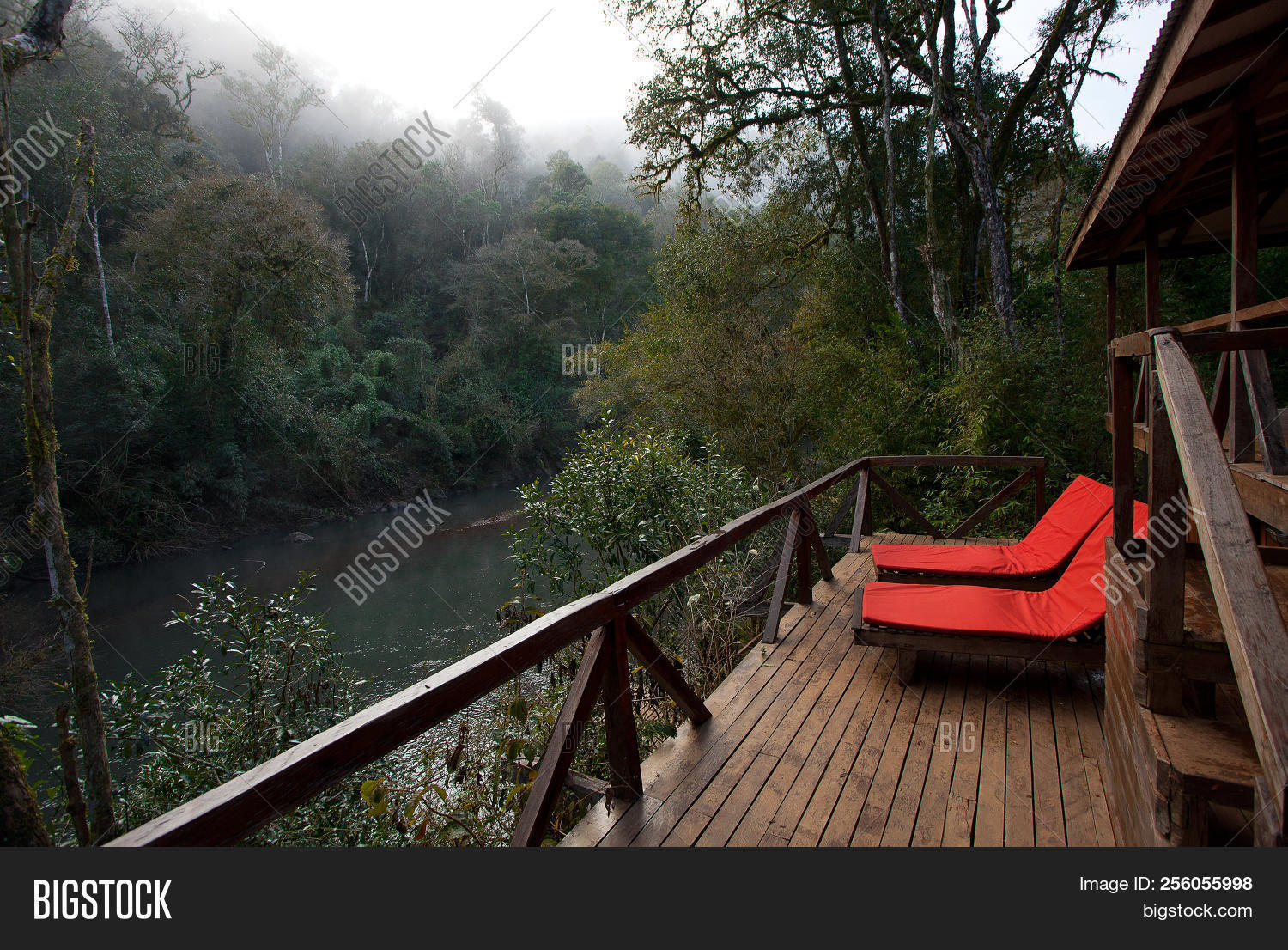Balcony Jungle. Image & Photo (Free Trial) | Bigstock