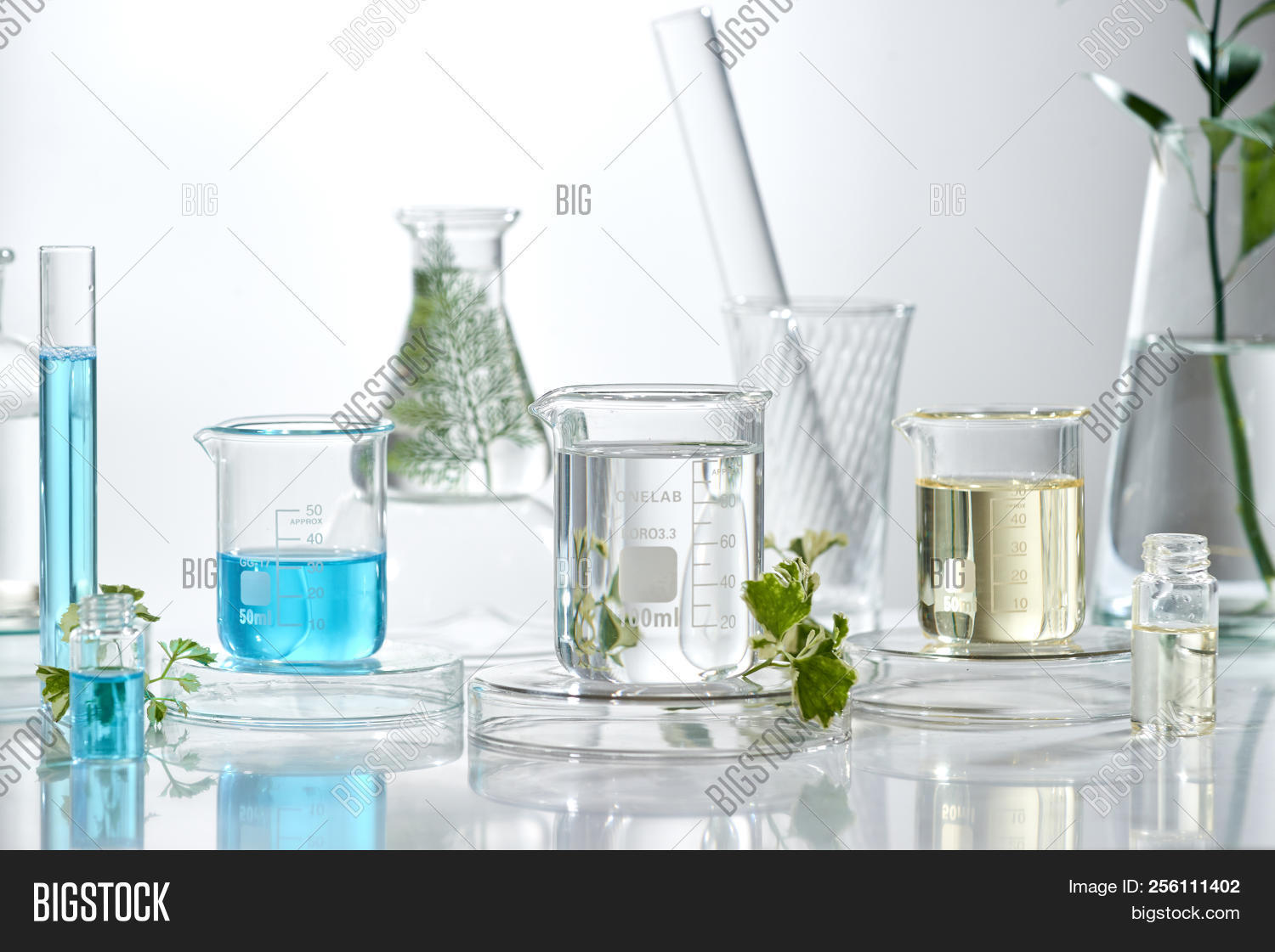 Cosmetic Laboratory Image & Photo (Free Trial) | Bigstock