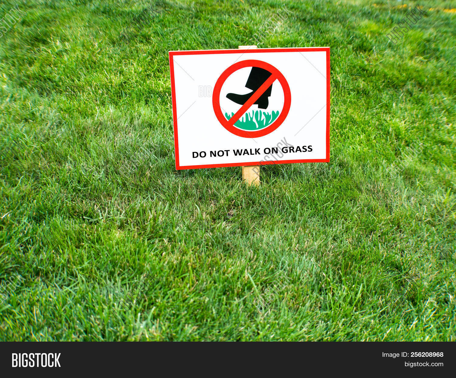 Do Not Walk On Grass Image & Photo (Free Trial) | Bigstock