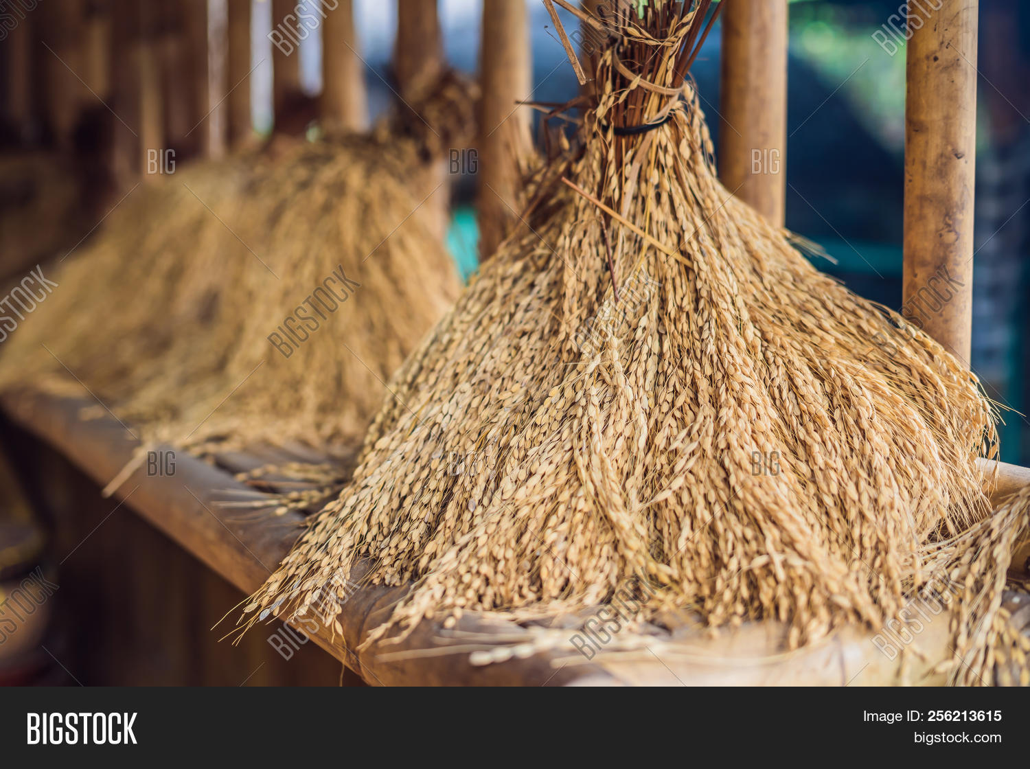 Raw Rice Grain. Image & Photo (Free Trial) | Bigstock