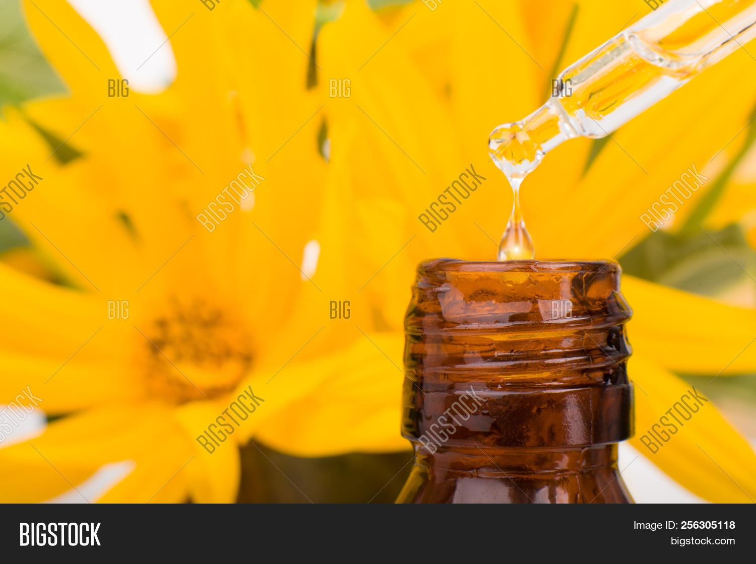 Drop Falling Dropper Image & Photo (Free Trial) | Bigstock