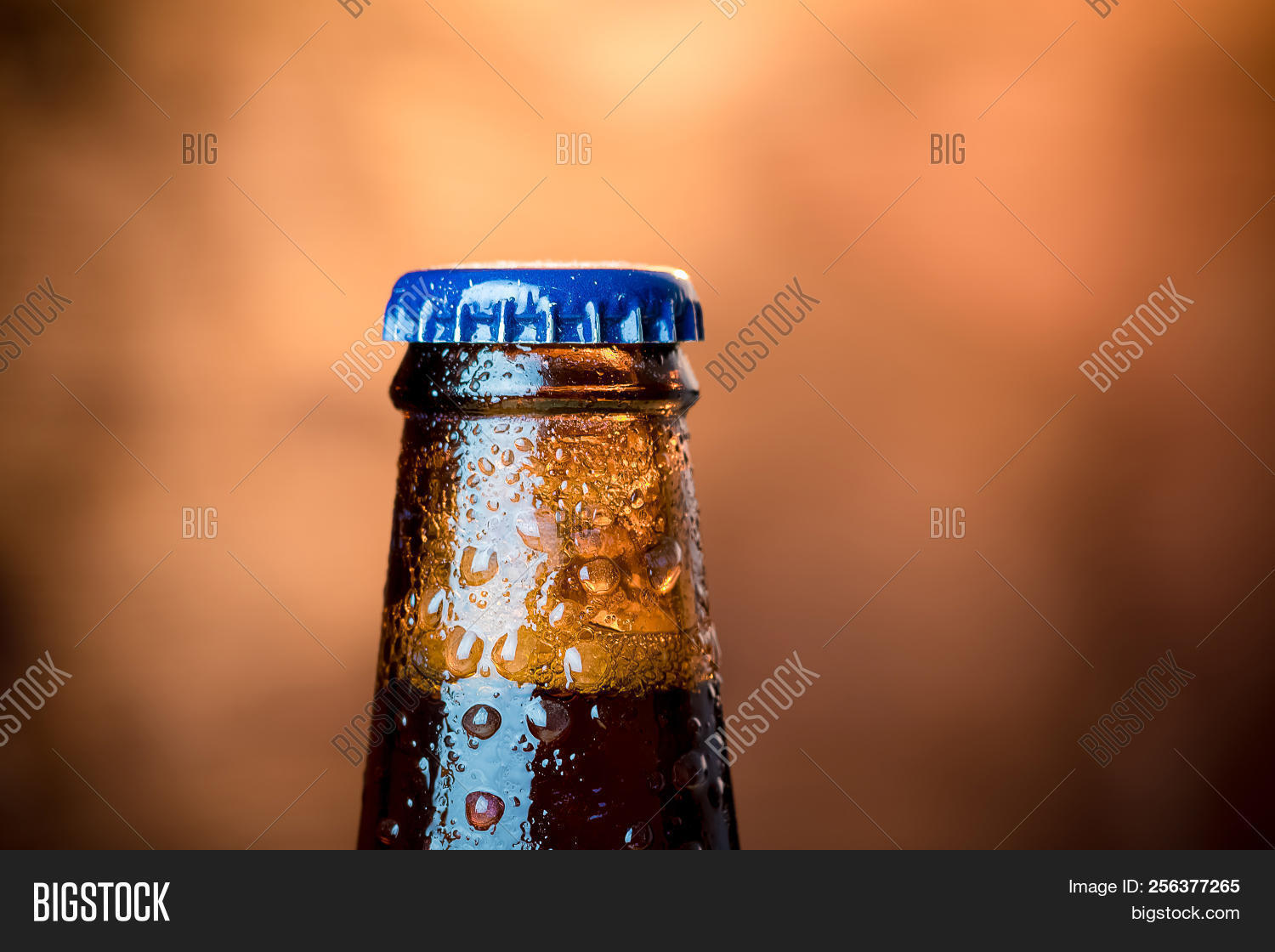 Close- Fresh Cold Beer Image & Photo (Free Trial) | Bigstock