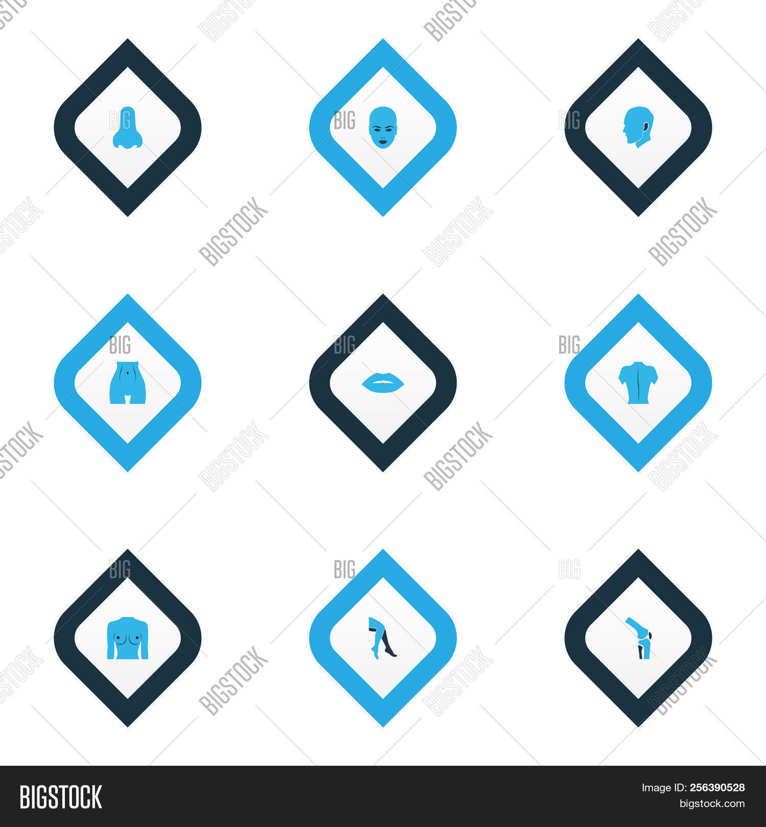 Physique Icons Colored Image & Photo (Free Trial) | Bigstock