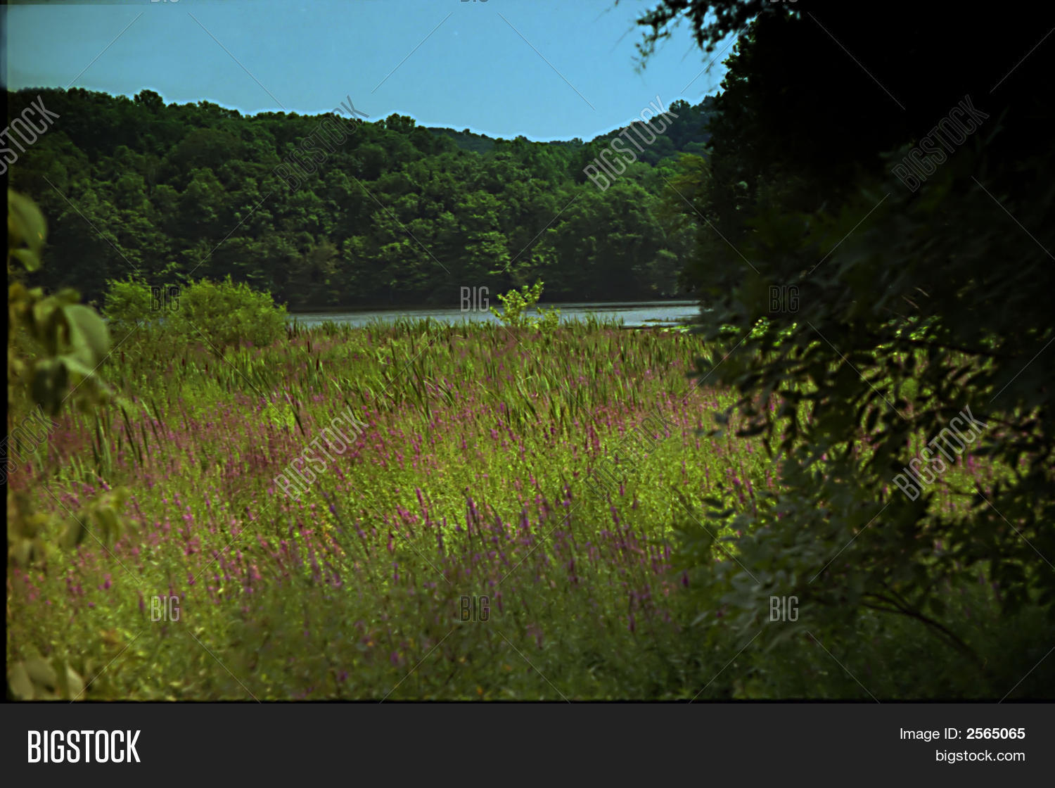 Yellowwood Lake Image & Photo (Free Trial) | Bigstock