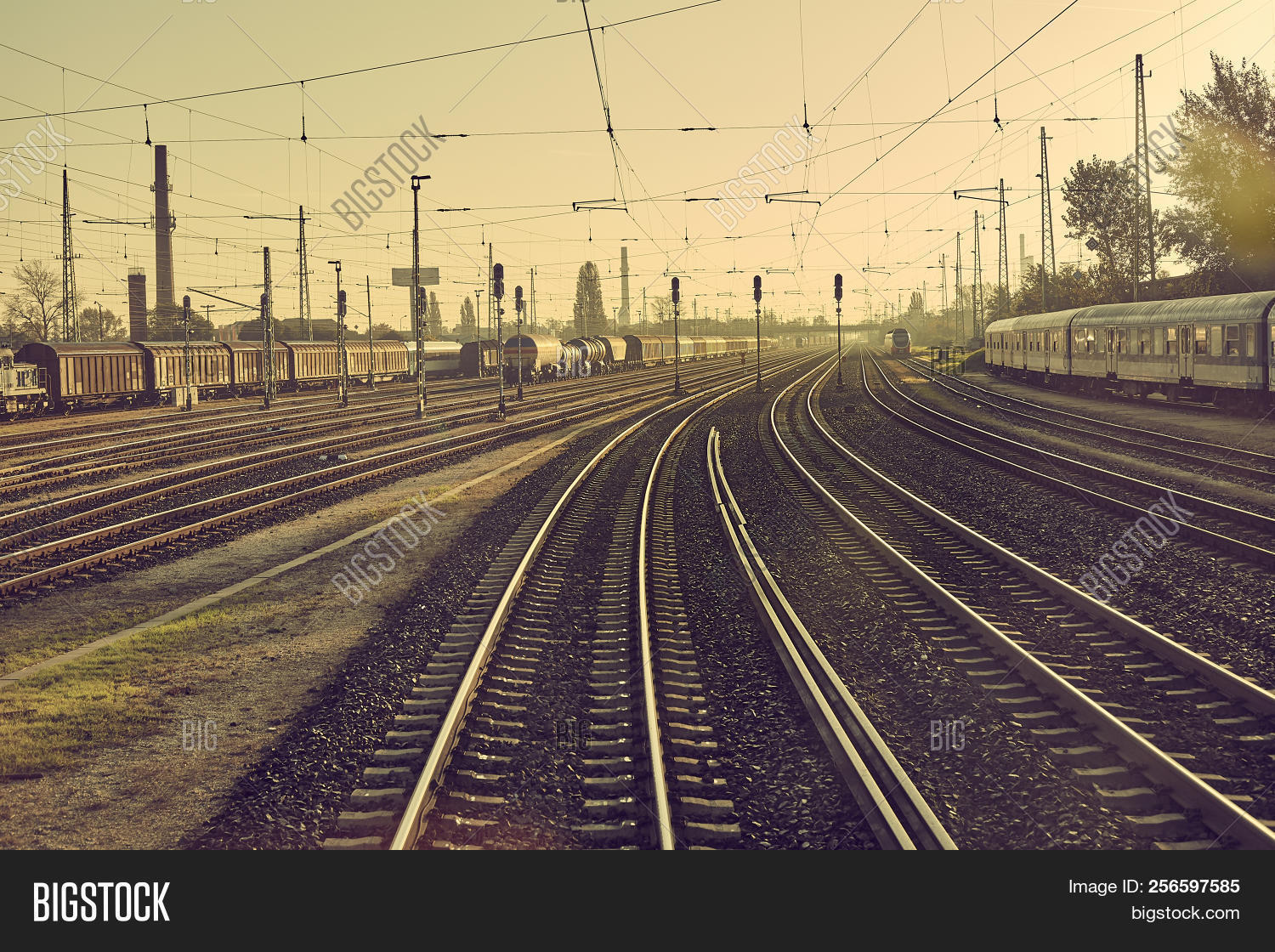 Many Railway Tracks Image & Photo (Free Trial) | Bigstock