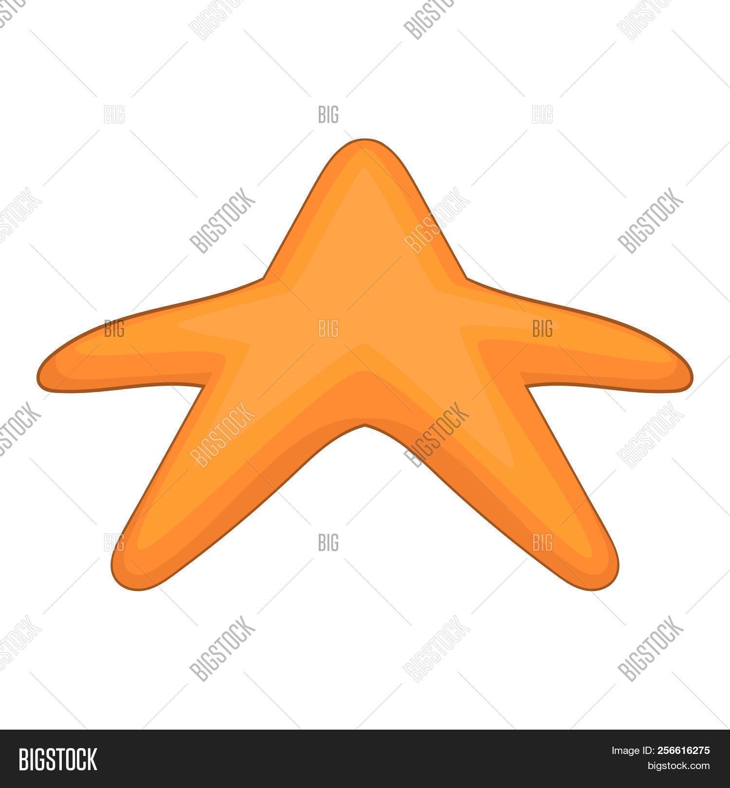 Starfish Icon