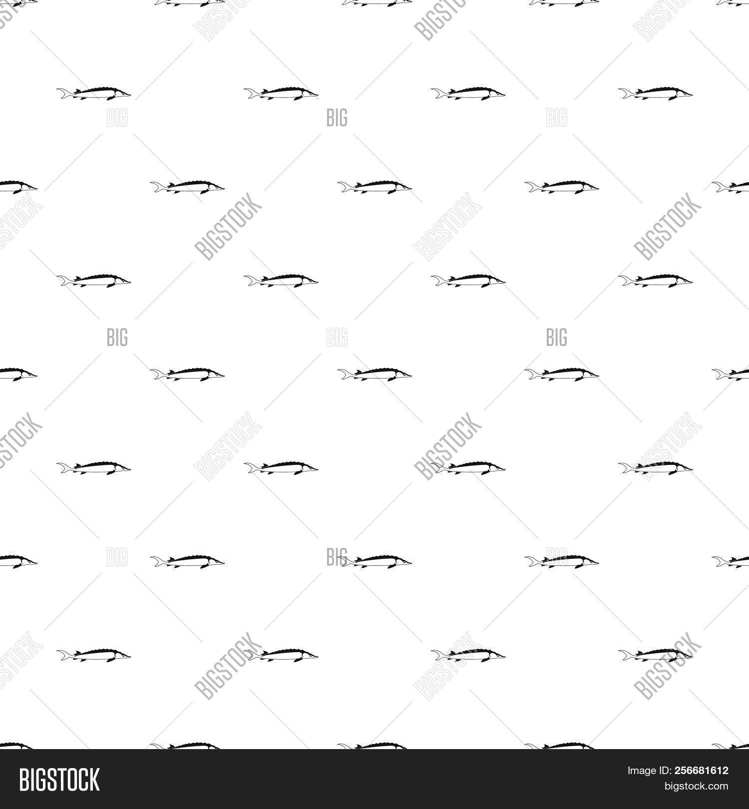 Stellate Fish Pattern Image & Photo (Free Trial) | Bigstock
