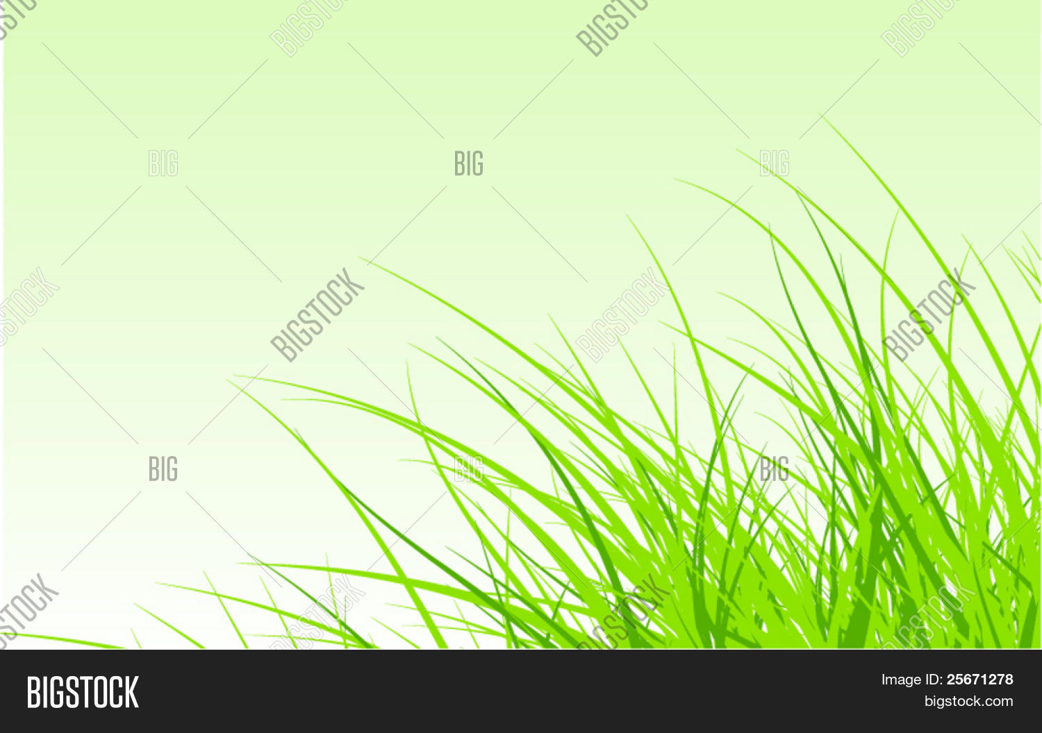 Green Grass Vector & Photo (Free Trial) | Bigstock