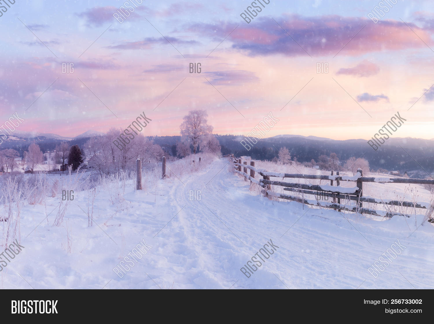 Panorama Winter Image & Photo (Free Trial) | Bigstock