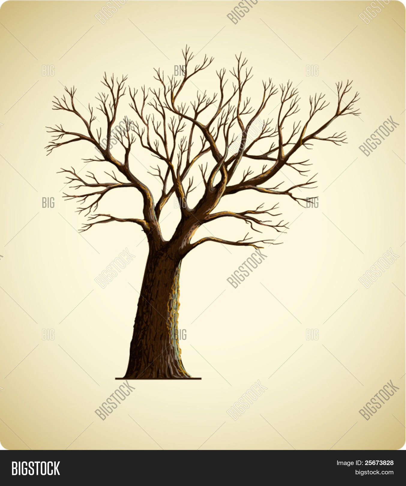 Vintage Tree Icon Vector & Photo (Free Trial) | Bigstock
