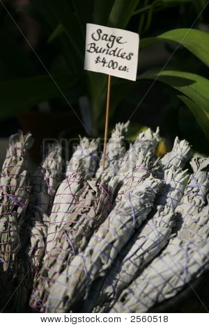 Sage Bundles Image & Photo (Free Trial) | Bigstock