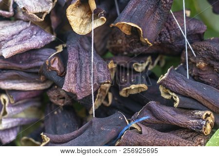 Melongene Images, Illustrations & Vectors (Free) - Bigstock