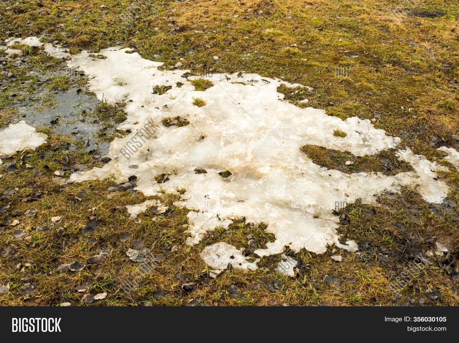 Spring Thaw. Snow Image & Photo (Free Trial) | Bigstock